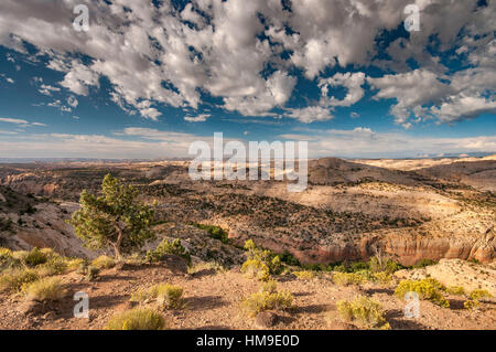 Calf Creek area, view from road following The Hogback at Grand ...