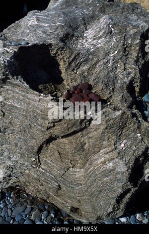 Quartz minerals, Keratokampos, Crete, Greece Stock Photo - Alamy