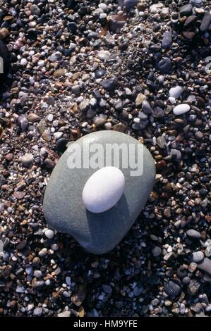 White rock on a larger grey rock sitting on gravel, Crete, Greece Stock ...