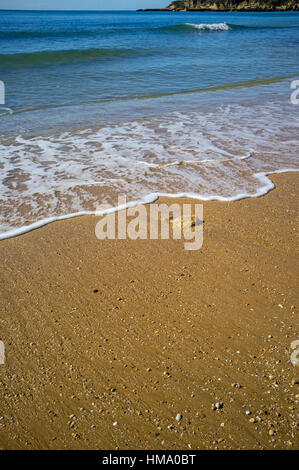 Portugal Algarve Albuferia beach view from promenade Stock Photo - Alamy