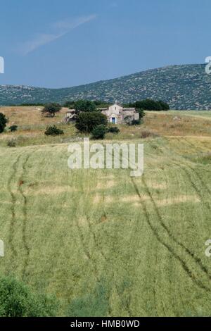 The plain of Orchomenus, Boeotia, Greece Stock Photo - Alamy