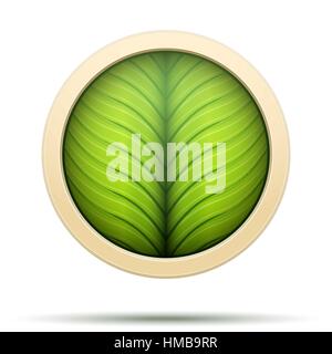 Leaves round Icon Vector Stock Vector Image & Art - Alamy
