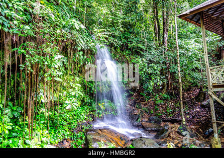 Waterfall at the rainforest of Sarawak, Borneo, Malaysia. Water falls ...