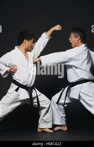 Japanese karate masters fighting Stock Photo - Alamy