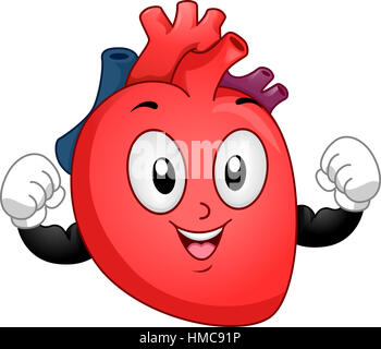 Strong healthy human heart as a cardiology fitness and health symbol or ...