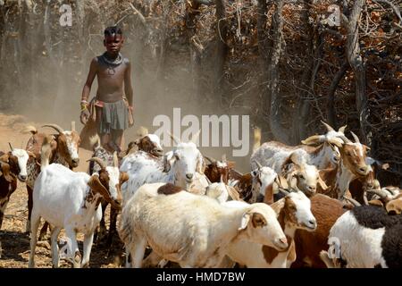 Himba girl herding goats and sheep, Namibia Stock Photo - Alamy