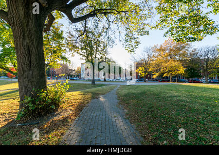 Patterson Park During Autumn in Baltimore, Maryland Stock Photo - Alamy
