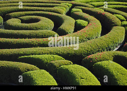 Round garden maze with green bushes as walls. 3D illustration Stock ...