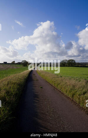 A generic country lane road with fields, fence and trees in spring ...