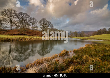 Reflections of Winter trees in Elterwater The Lake District Stock Photo ...
