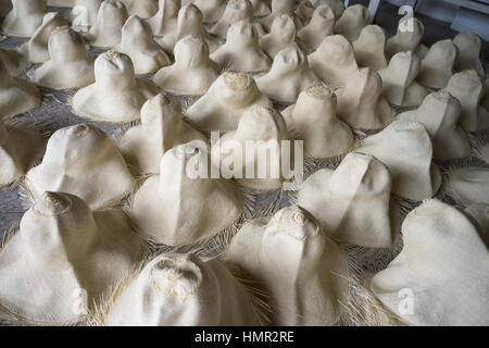 panama hats drying after the bleaching process Stock Photo - Alamy