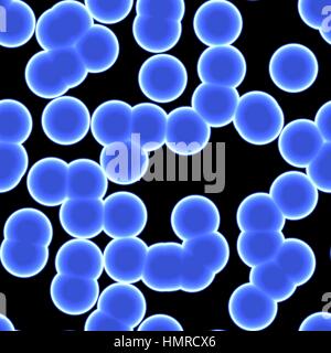 Colorful realistic human cells Stock Photo - Alamy