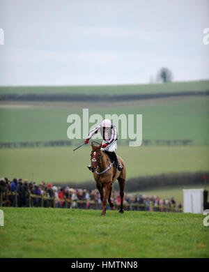Dorset, UK. 5th Feb, 2017. The South Dorset Hunt Point-to-Point Races ...