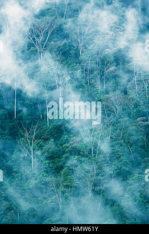 Rain Forest with fog, Corcovado National Park, Costa Rica Stock Photo ...