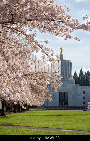 Cherry tree bloom, Oregon State Capitol grounds, Salem, Oregon Stock ...