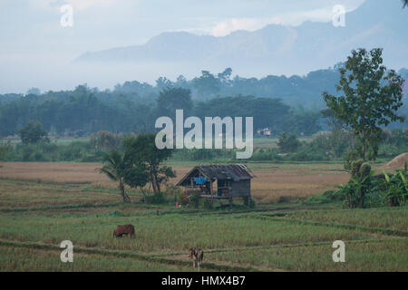 the landscape and agriculture land near the nationalpark of Chae Son or ...