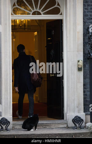 Larry the Cat sits on the doorstep of number 10 Downing Street ...