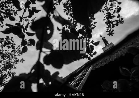 Silvar (24) works on a roof in Tallinn, Estonia 20th September 2016 ...