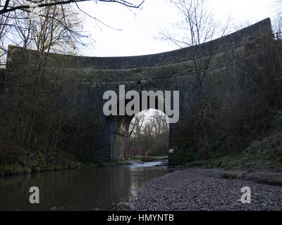 The River Medlock running under the arch of a bridge at Daisy Nook ...