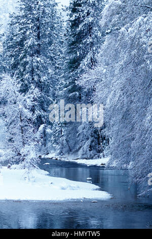 Merced river blanketed with snow, California, Yosemite National Park ...