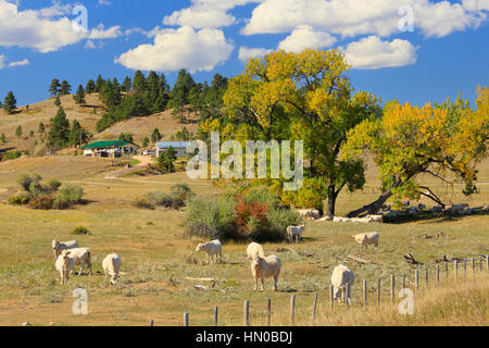 Ranch, Aladdin, Wyoming, USA Stock Photo - Alamy