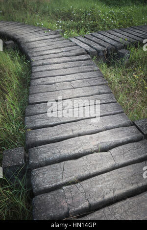 Old cement path way walk way on lawn with grass, y shape, curvy shape ...