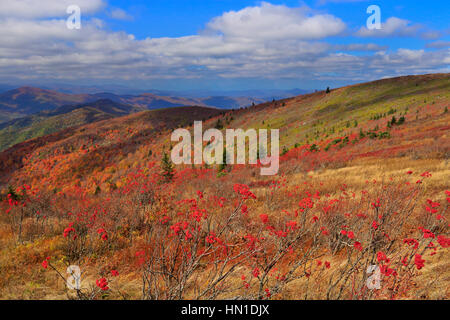 South of Black Balsum Knob, Looking at Investor Gap Trail, Art Loeb ...