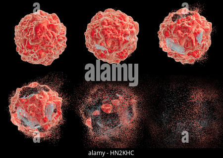 Destruction of a cancer cell by nanoparticles, computer illustration ...