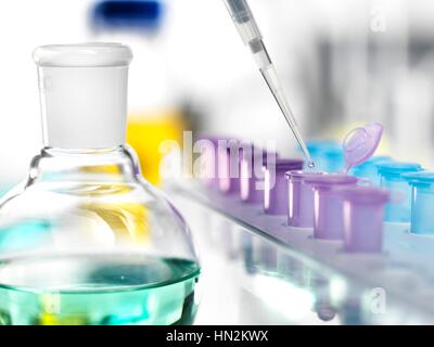 Substance being pipetted from a round-bottom flask into Eppendorf tubes ...