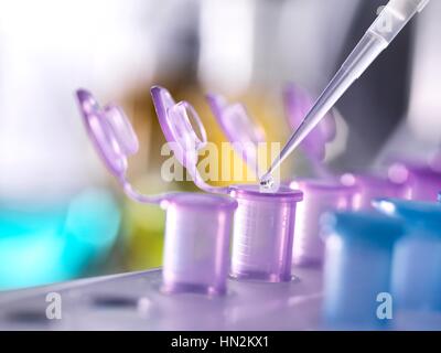 Pipetting samples into Eppendorf tubes Stock Photo - Alamy