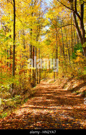 Bright red leaves bursting with autumn colors Stock Photo - Alamy