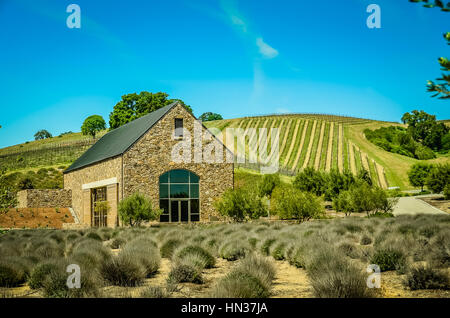 California, Central Coast Wine country Stock Photo - Alamy