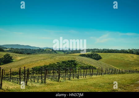 California, Central Coast Wine country Stock Photo - Alamy