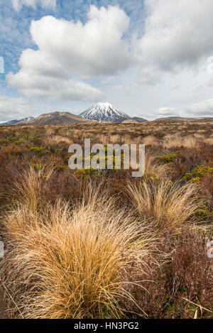 Tongariro mountains new zealand Stock Photo - Alamy