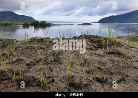 View of Bakara in Toba Lake, North Sumatera, Indonesia Stock Photo - Alamy