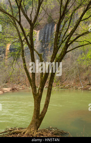 The Buffalo River a National Scenic River and its bluffs in Arkansas ...