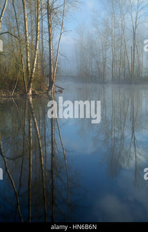 Pond, St Louis Ponds Wildlife Area, Oregon Stock Photo - Alamy