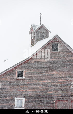 Magpie, Wallowa Valley, Oregon Stock Photo - Alamy