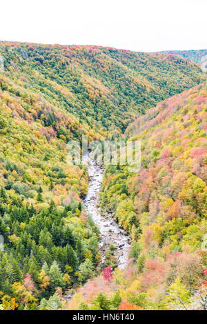 Allegheny mountains in autumn fall season with green foliage turning ...