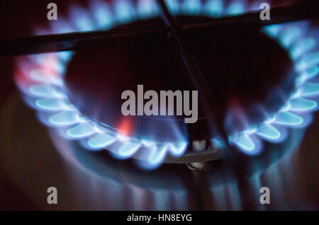 Gas hob cooker flame alight cost of energy UK Stock Photo - Alamy
