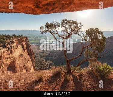 Sandstone monuments & formations. Colorado National Monument. USA Stock ...