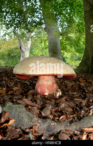 Satan's Bolete - Boletus satanus Stock Photo - Alamy