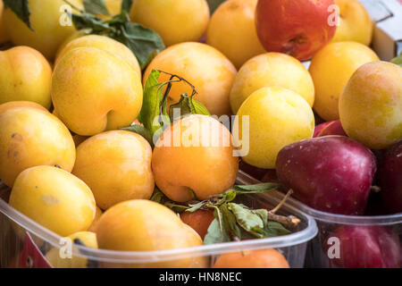 Apples for sale at Campo de Fiori market in the centre of Rome, near ...