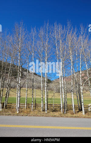 A scenic view of autumn leafless trees and a wooden house under a gray ...
