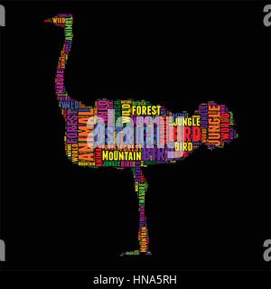 Ostrich Typography word cloud colorful Vector illustration Stock Vector ...