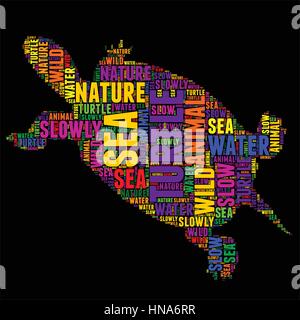 turtle Typography word cloud colorful Vector illustration Stock Vector ...