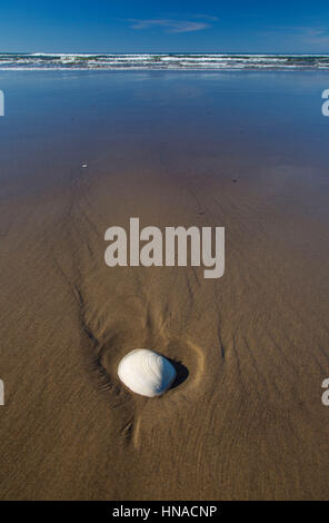 Beach, Bayocean Peninsula, Oregon Stock Photo - Alamy