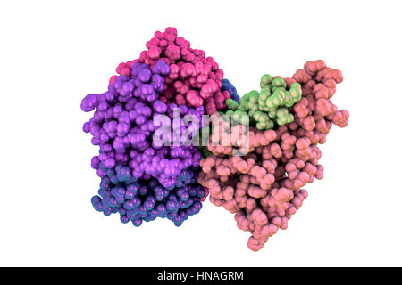 Cholera toxin, molecular model. Cholera toxin (choleragen) is a protein ...
