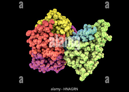 Cholera toxin, molecular model. Cholera toxin (choleragen) is a Stock ...