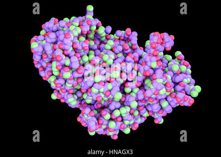 Ricin. Computer model of a molecule of the toxic protein ricin. It ...